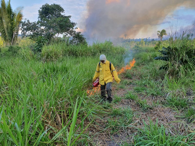 Queima controlada para prevenção de incêndios será realizada em Timóteo ...