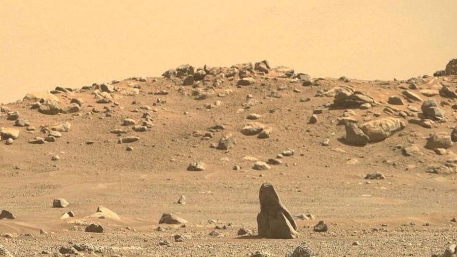 Sonda Perseverance, em Marte, envia novas fotos; veja | Plox