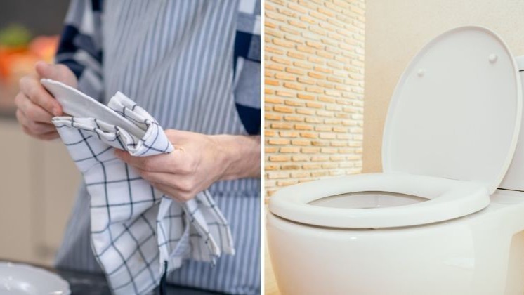 Os panos de prato são seguros? Pesquisas apontam contaminação ...