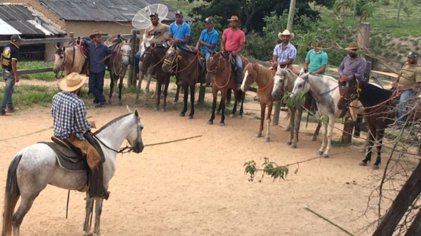 Sistema Faemg Senar oferece cursos gratuitos para capacitar produtores ...