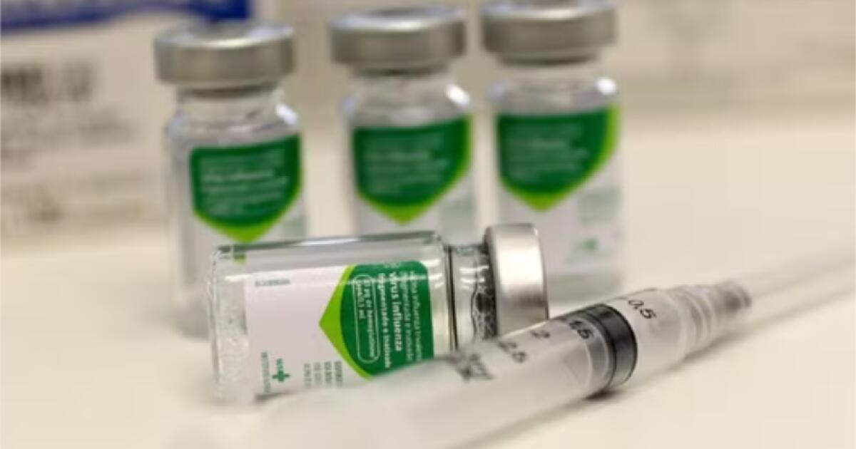 Anvisa define composição das vacinas da gripe em 2026 | Plox