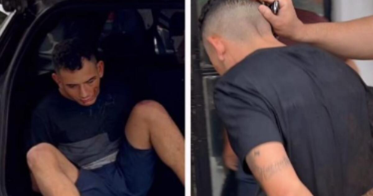 Motorista que atropelou e arrastou Tainara na Marginal Tietê já havia ...