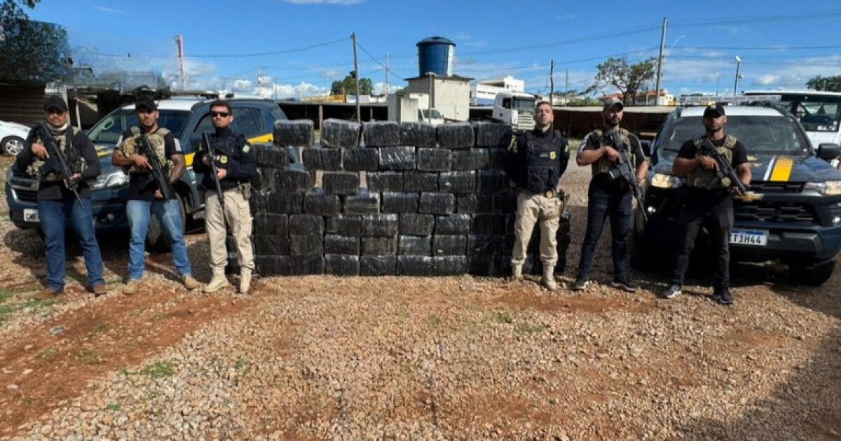 PRF e BOPE apreendem mais de 1,3 tonelada de maconha em carreta na BR ...