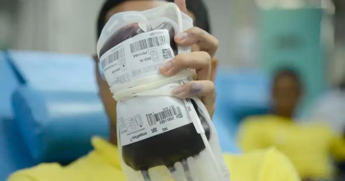 TJ-SP revoga indenização a mãe de jovem Testemunha de Jeová por ...