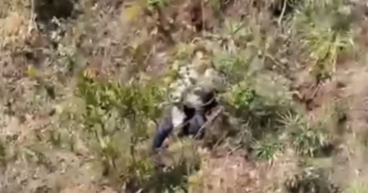 Mulher desaparecida é encontrada viva em penhasco na Serra do Rola-Moça ...