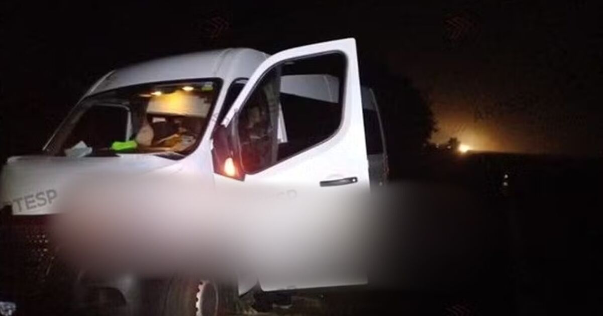 Cavalo morre atropelado na Rodovia Castello Branco em Porangaba | Plox